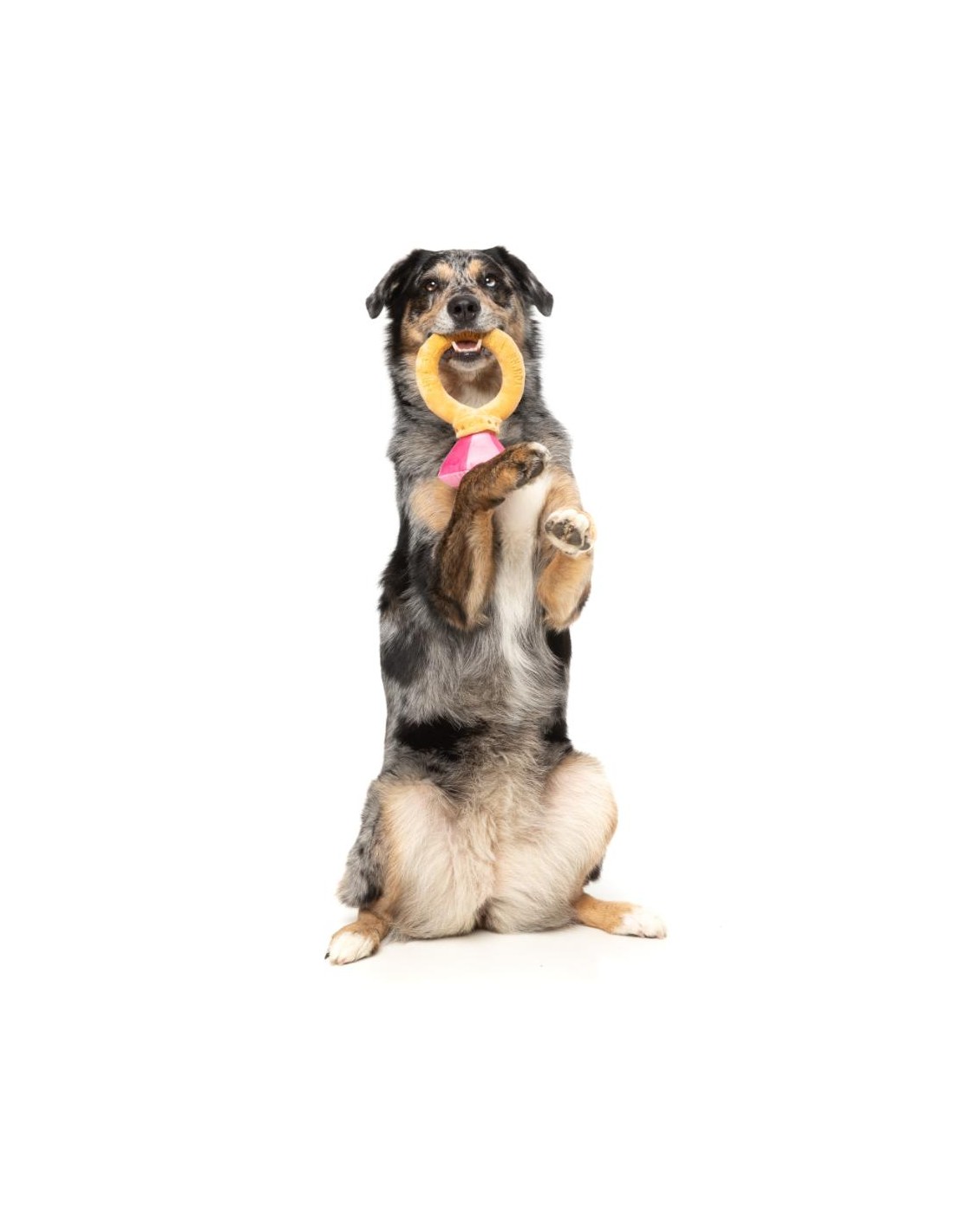 FuzzYard Diamond In The Ruff Ring – Plüsch Hundespielzeug mit Geräusch