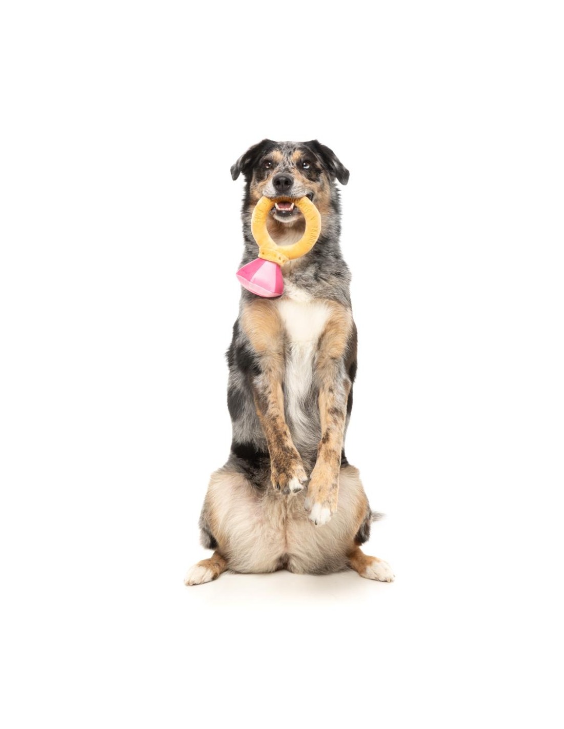 FuzzYard Diamond In The Ruff Ring – Plüsch Hundespielzeug mit Geräusch